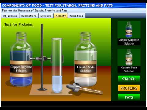 Experiment to test presence of Starch, Fats and Proteins - Components ...