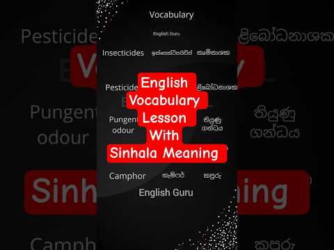 English Vocabulary Lesson | English Words with Sinhala Meaning & Pronunciations