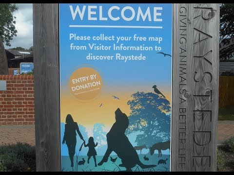 Write a letter to Raystede | Violet's Vegan Comics