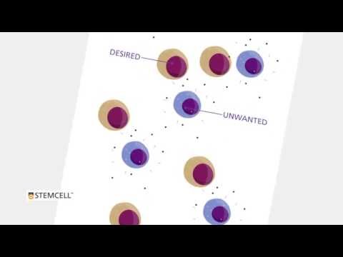 Isolate Desired Cells with EasySep™