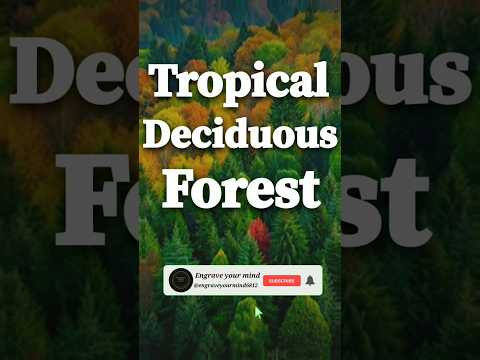 Tropical Deciduous Forest🌳|Geography chapter-5 Natural Vegetation & Wildlife| #class9 #forest #viral