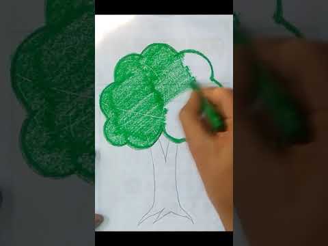 Full process of drawing banyan tree