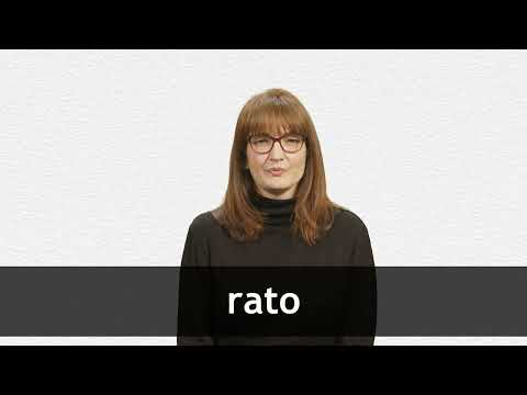 English Translation of “RATO” | Collins Spanish-English Dictionary