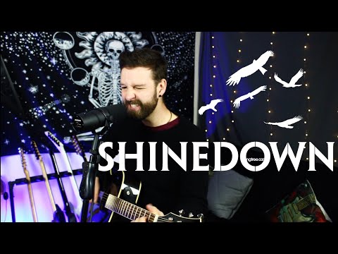 Shinedown - Call Me (acoustic cover)