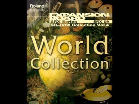 Roland SRX 09 World Collection Expansion Card | Reverb