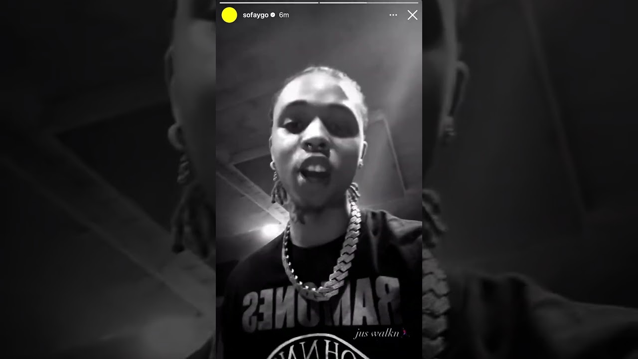 SoFaygo new snippet (3/4/25) #sofaygo#faygo#offthemap#1942#pinkheartz#cactusjack#newnsnippet