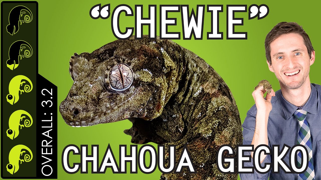 Chahoua 