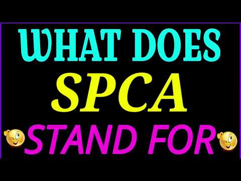 what does Spca stand for | Spca full form | what does Spca mean | Spca meaning and definition