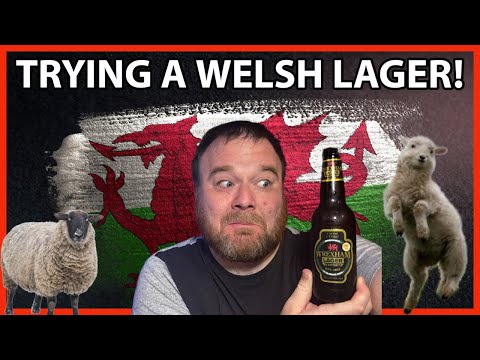 Wrexham Lager Export |5%| Welsh Beer Review!