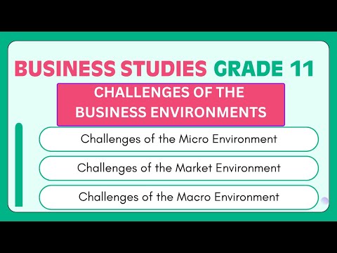 Business Studies Grade 11 | Challenges of the business environment