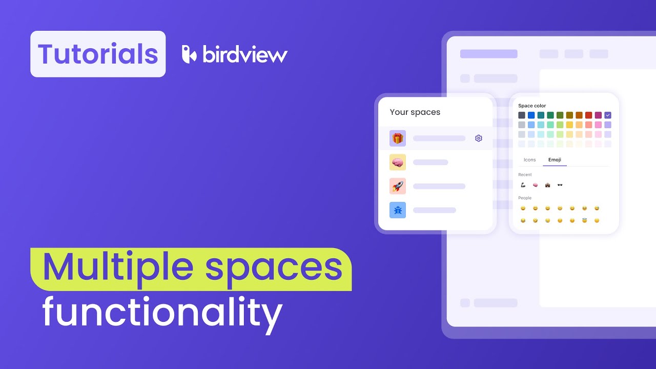 Multiple Spaces | Birdview tutorial