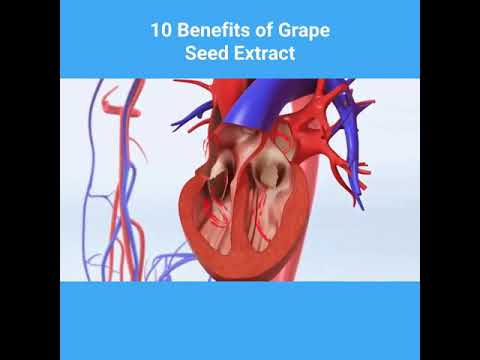 10 Benefits Of Grape Seed Extract -Good Foods For Health