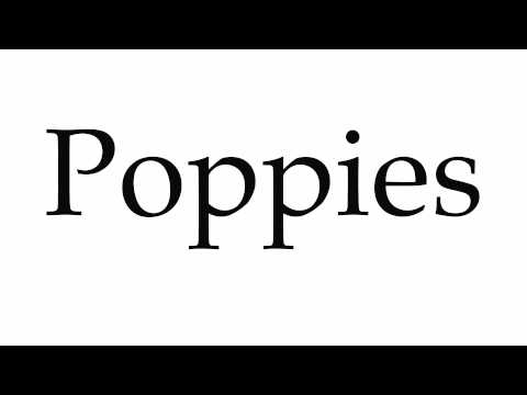 How to Pronounce Poppies