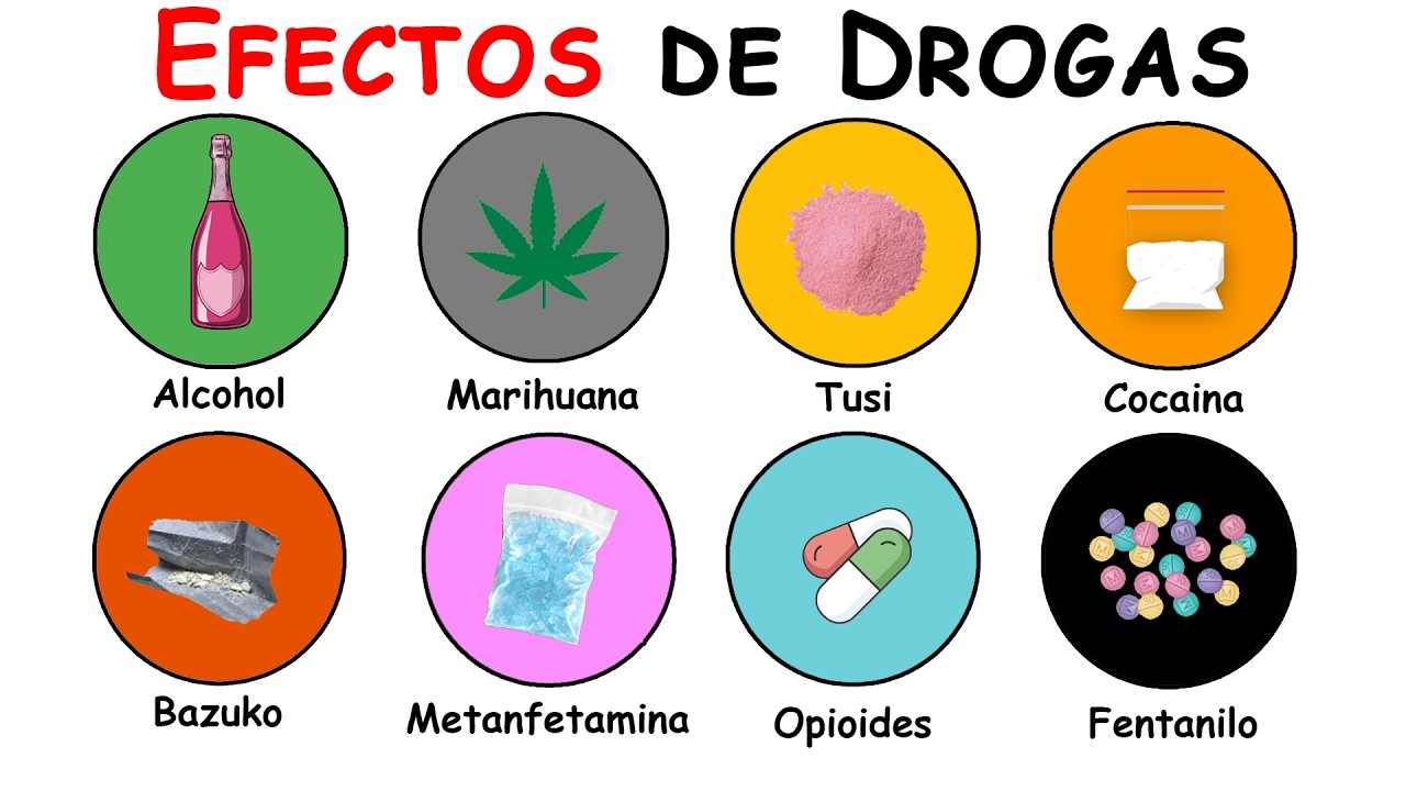 Each Drug and Its Effect Explained (8 Levels of Danger)