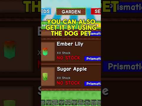 how to get sugar apple seed in grow a garden roblox