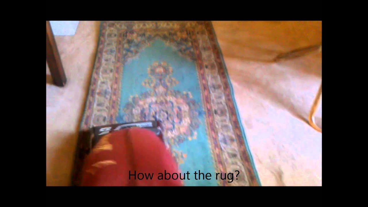 Vacuum Repair Betters Indoor Air Quality! (What's left in your carpet?)