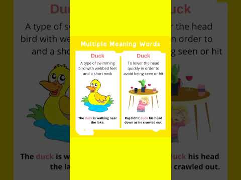 HOMOGRAPHS - Confusing Words with Same Spelling but Different Meaning | List & Examples