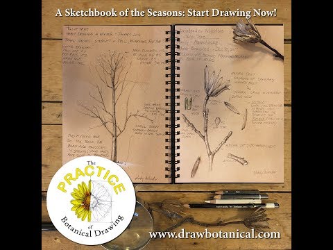 A Sketchbook of the Seasons Design Challenge