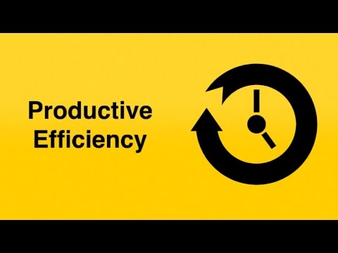 Productive Efficiency in 60 Seconds