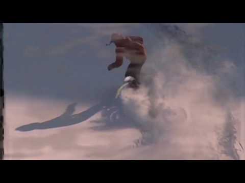 the bowl