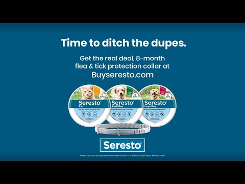 Seresto® Flea and Tick Collars for Dogs: 8 Continuous Months of Protection for Your Pet