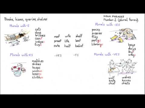 Learn English - Noun Phrases: Plural endings