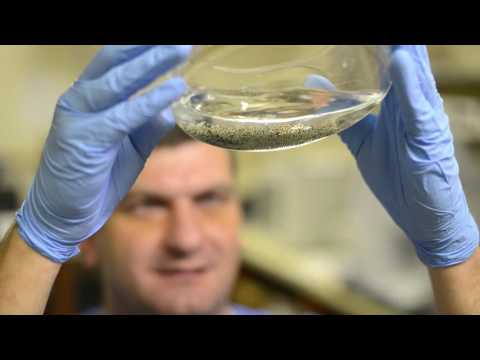 Take a Lab Tour with Avis the Frog! || UWyo Magazine — Vol. 17 - No. 1