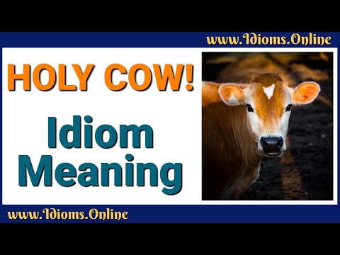 Holy Cow! Idiom Meaning - English Expression Videos