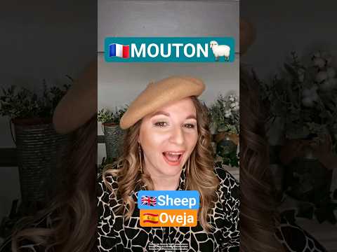 🇬🇧SHEEP🐑French pronunciation🇪🇸Oveja🐑francés pronunciación🇫🇷Mouton🐑