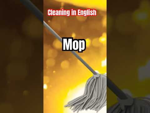 🫧 What is a Mop? What is Mopping? Mop as Noun & Verb? What are Mops? #mop #cleaning #clean #mopping