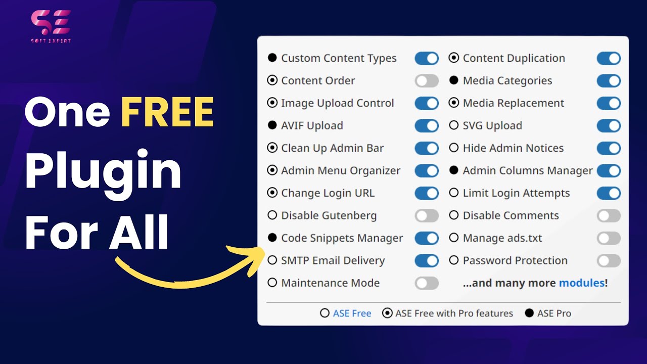 This FREE Plugin will Replace 20 other Plugins  - ASE WordPress Plugin