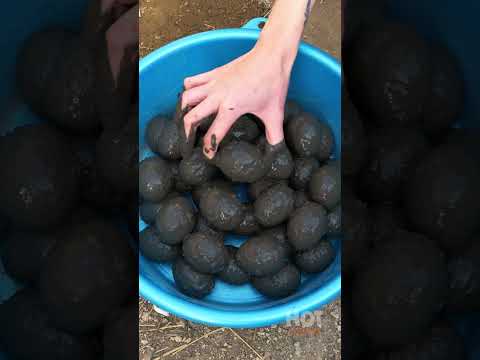 Outdoor cooking China’s Century Eggs 🥚🥚🥚 #outdoorcooking