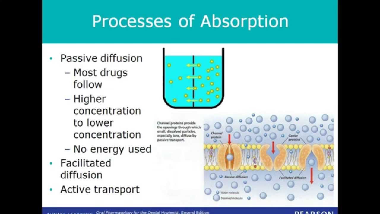 Pharmacology Fundamentals of Drug Action - Pharmacodynamics and Pharmacokinetics - Ch 2 Lecture 1
