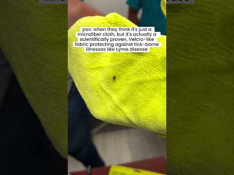 Unveiling the TiCK MiTT: The Science Behind Our Revolutionary Tick-Trapping Microfiber 🧤🔬