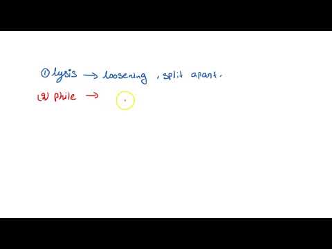 Can you match these prefixes, suffixes, and word roots with their definitions? -lysis loosening, sp…