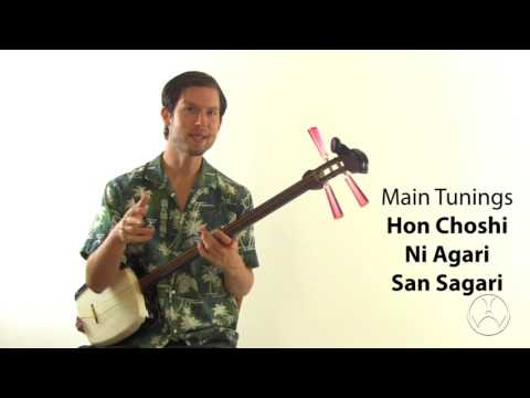 Bachido Blog: How to Tune Shamisen