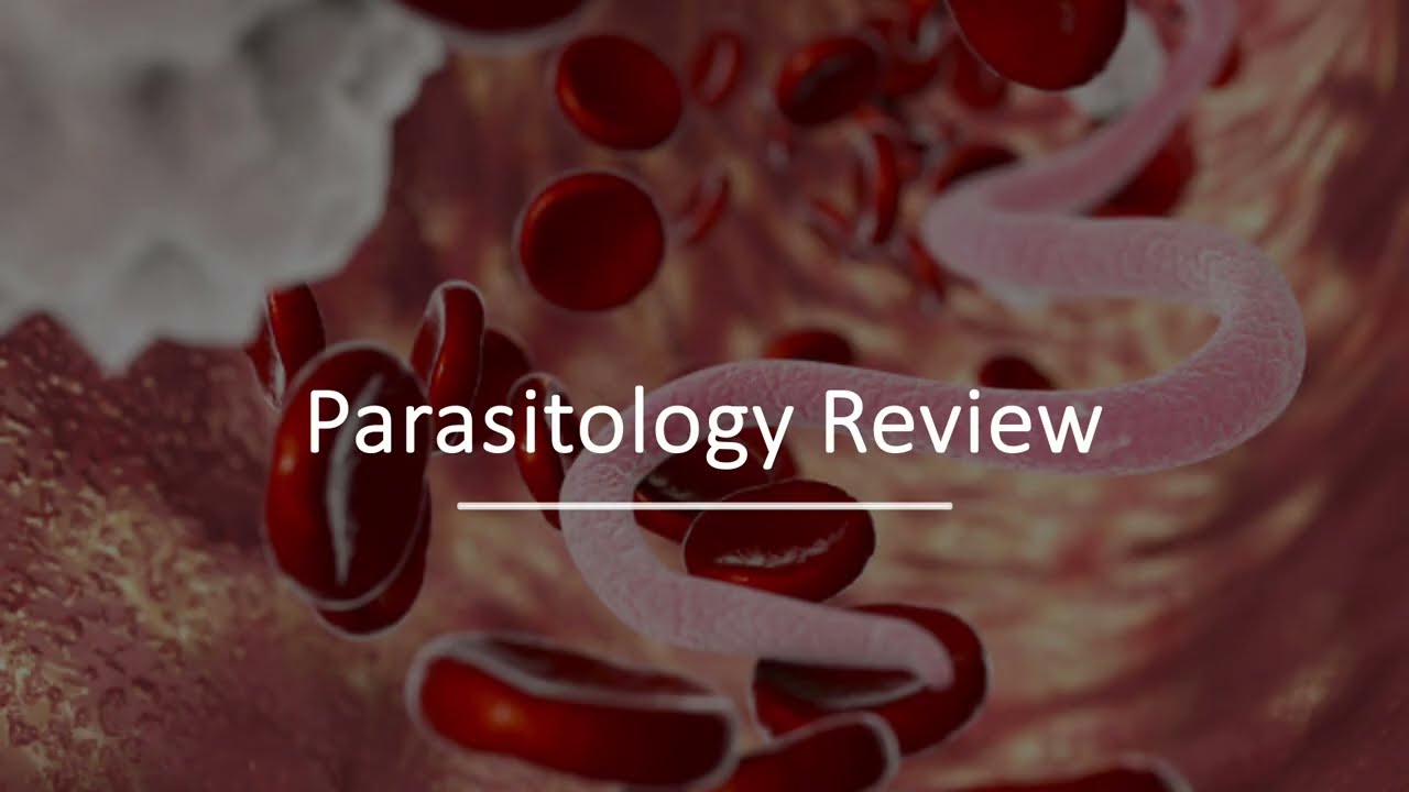 Parasitology Review for the VTNE