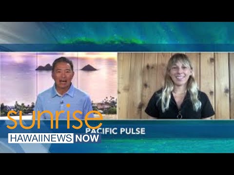 Pacific Pulse: Coco Ho launches new surfboard label for women