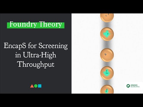 FT007 - EncapS for Screening in Ultra-High Throughput