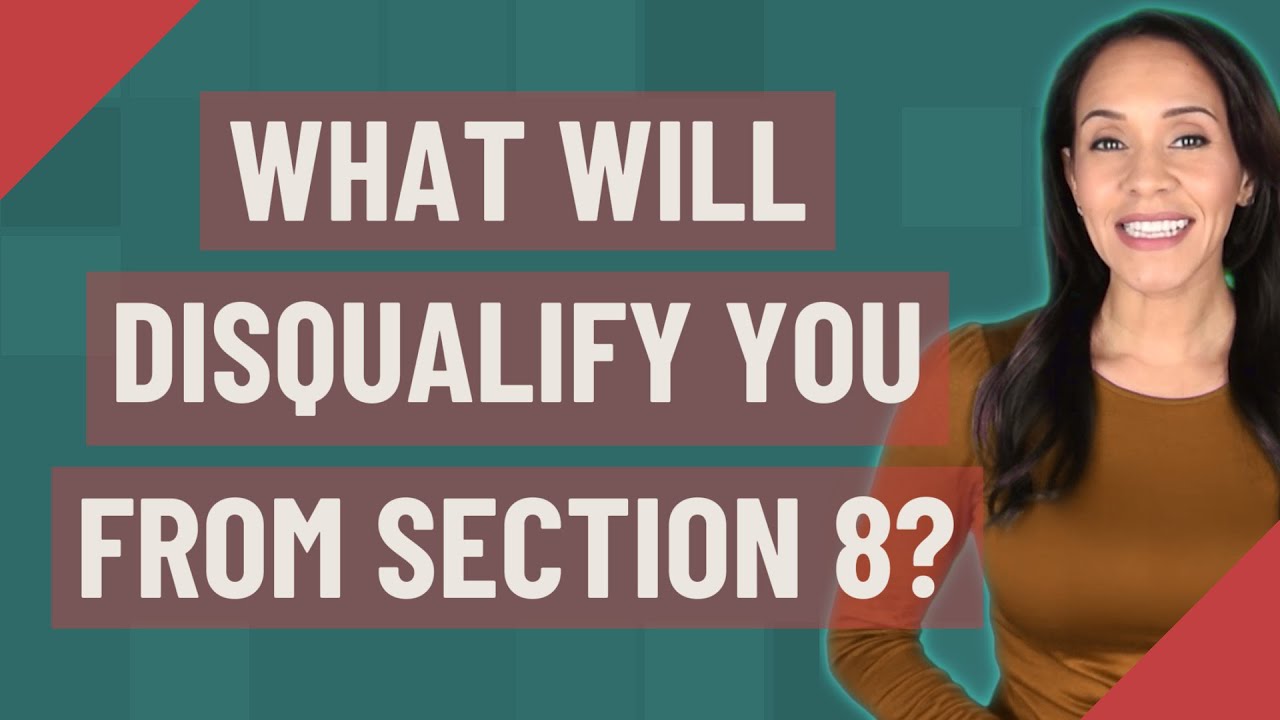 What will disqualify you from Section 8?