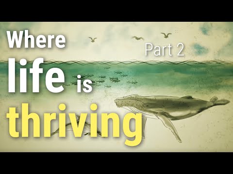 Life at the Edge - Part 2