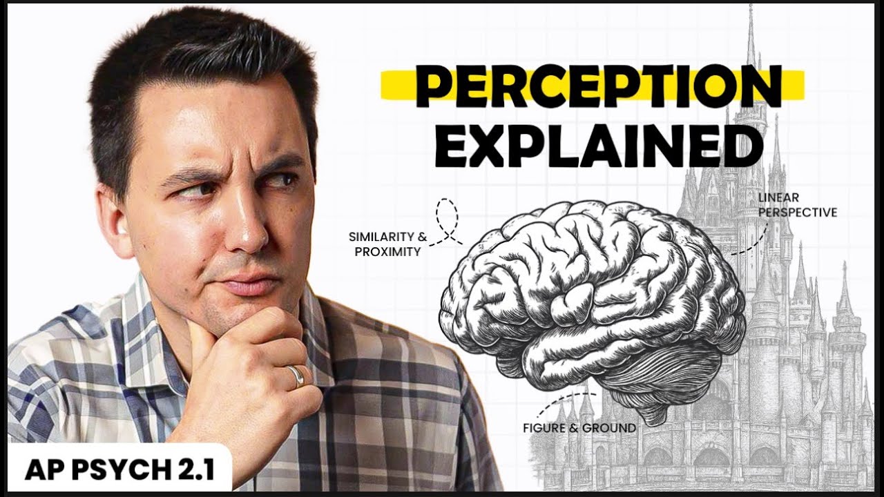 Perception at Disney World (AP Psychology Review Unit 2 Topic 1)