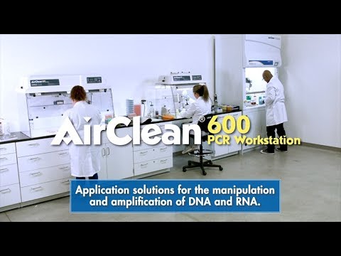 PCR Workstation - PCR Hood Latest Price, Manufacturers & Suppliers