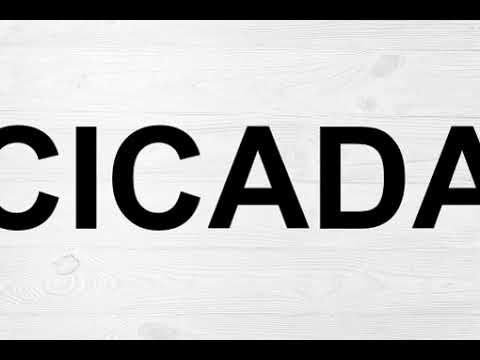 How To Pronounce Cicada