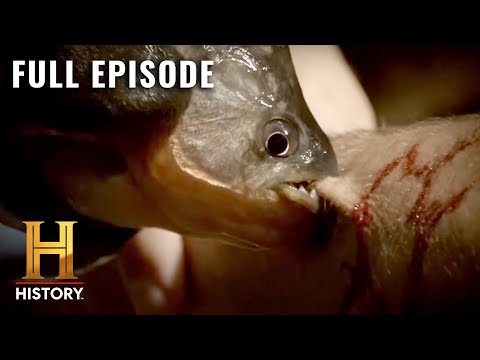 Two Legendary Creatures of the Amazon (S1, E7) | Kings of Pain | Full Episode