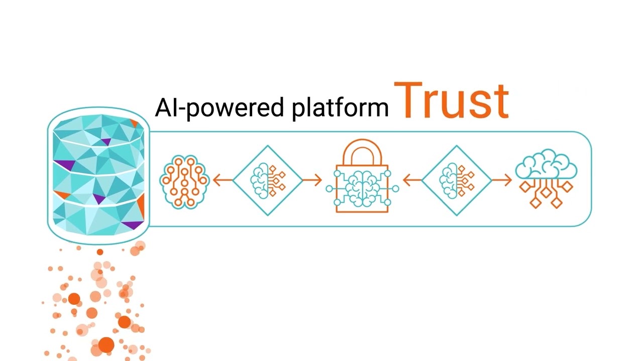 Customer Experience Optimization