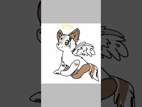 In loving memory of Repete...