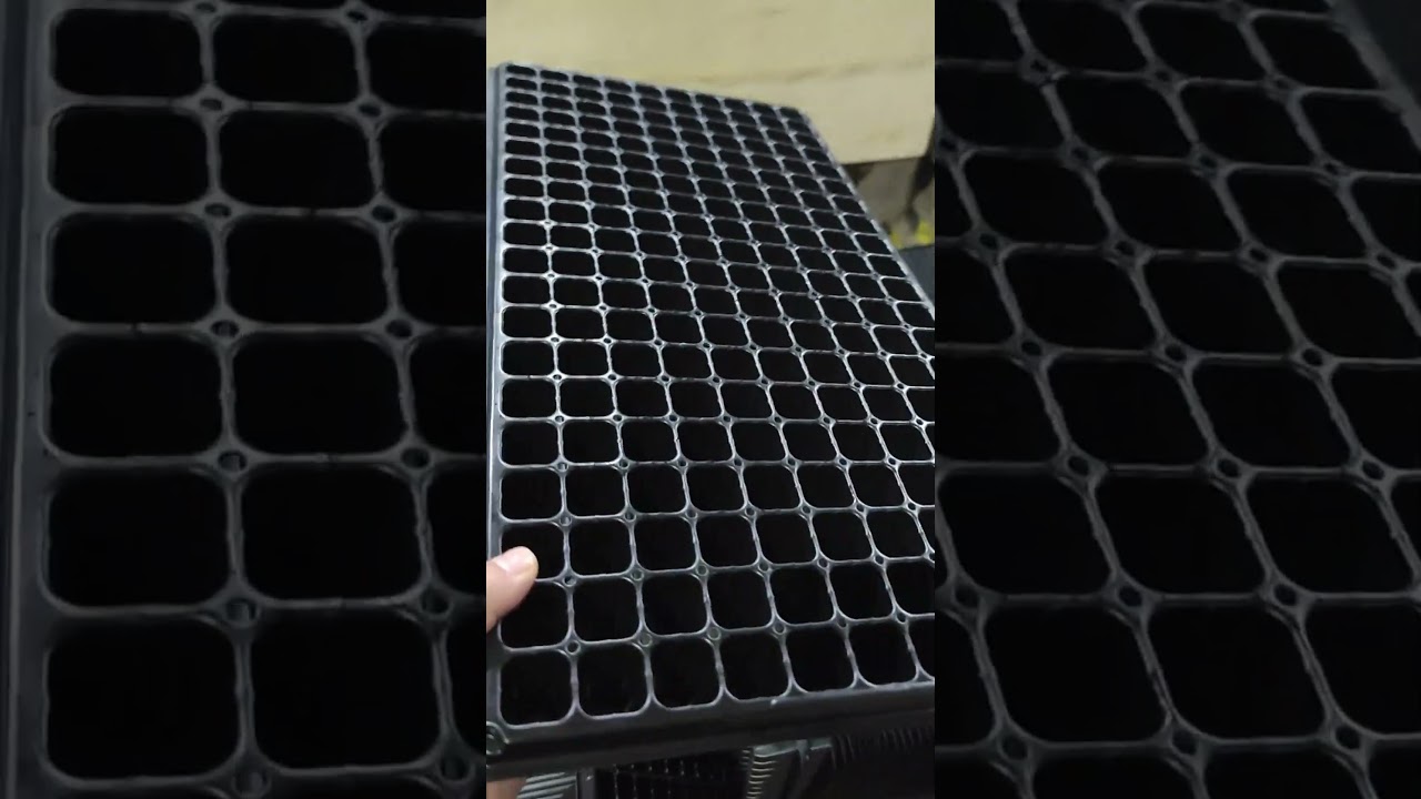 Cheap 200 Cell Seedling Trays for Farms #seedtrays #seedstarters #seedstarting