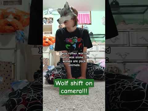 Shifts :3 #therian #therianthropy #therianpride #wolf #wolftherian #alterhuman #therianshift #shift