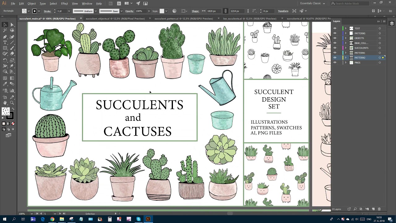 Succulents and cactuses illustrations - Adobe Illustrator CC - bigmomentsdesign Creative Market